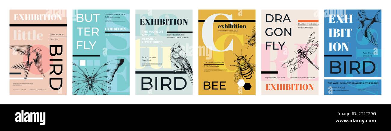 Bird posters. Art music festival invitation layout. Graphic book ...