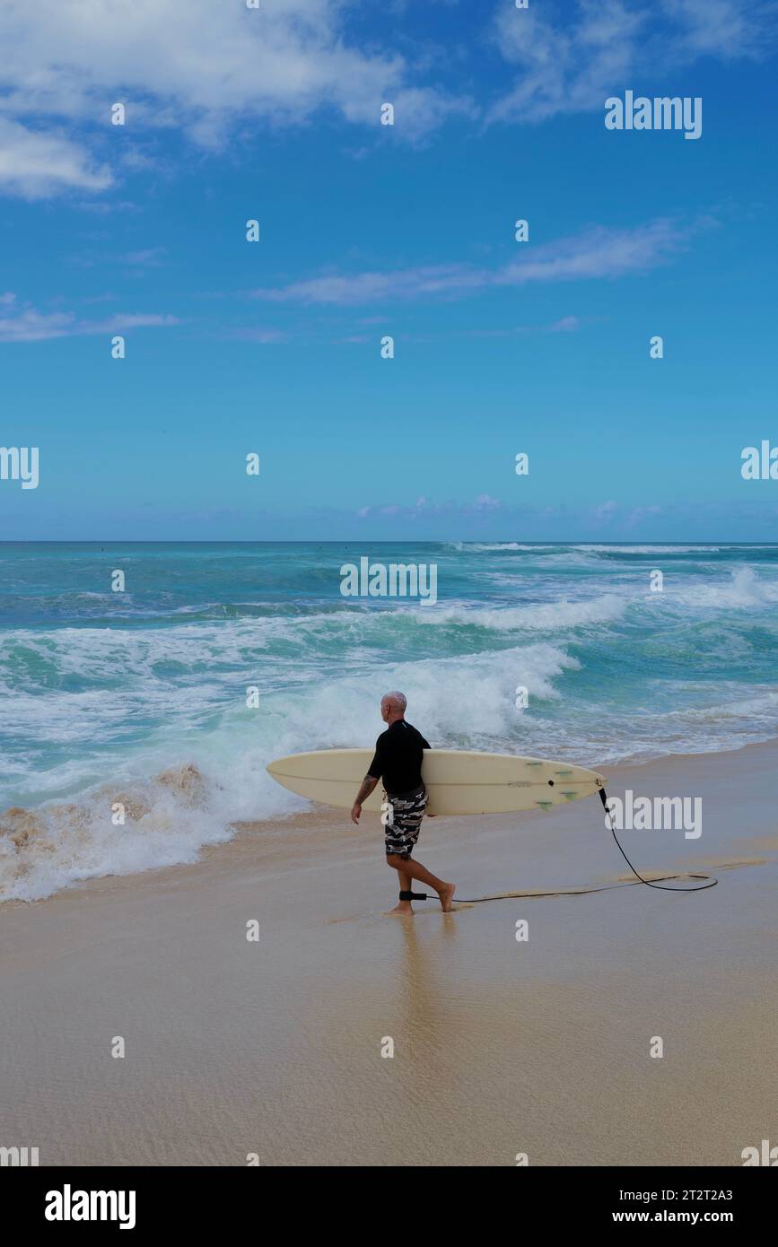Man Surfing in Hawaii Wave Stock Photo - Alamy
