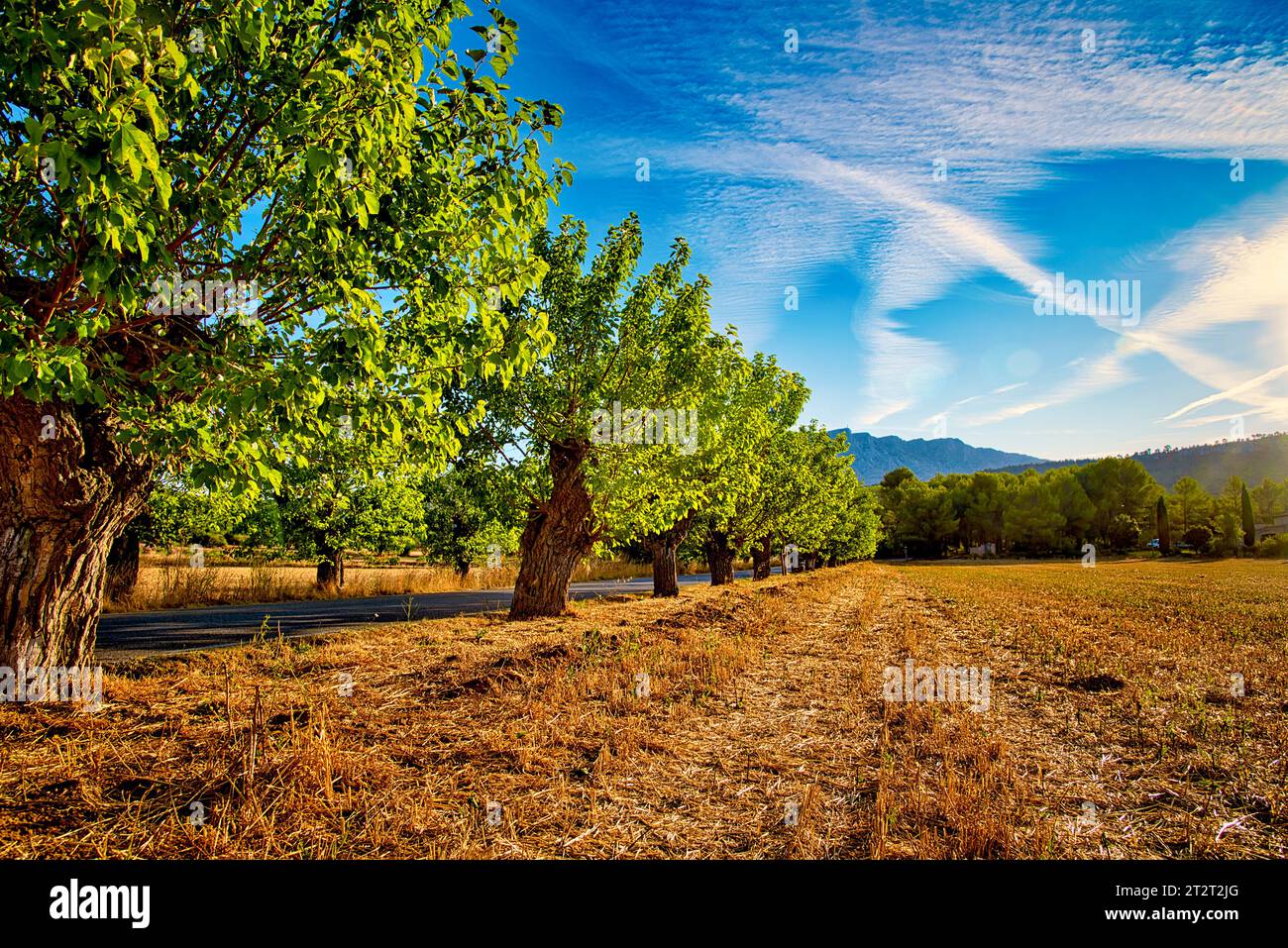 Montagne sainte victoire hi-res stock photography and images - Alamy