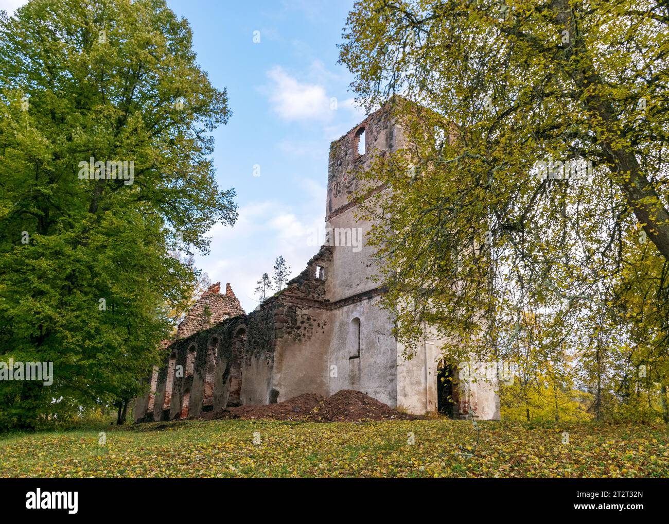 landscape with old church ruins, ruins overgrown with bushes and grass ...