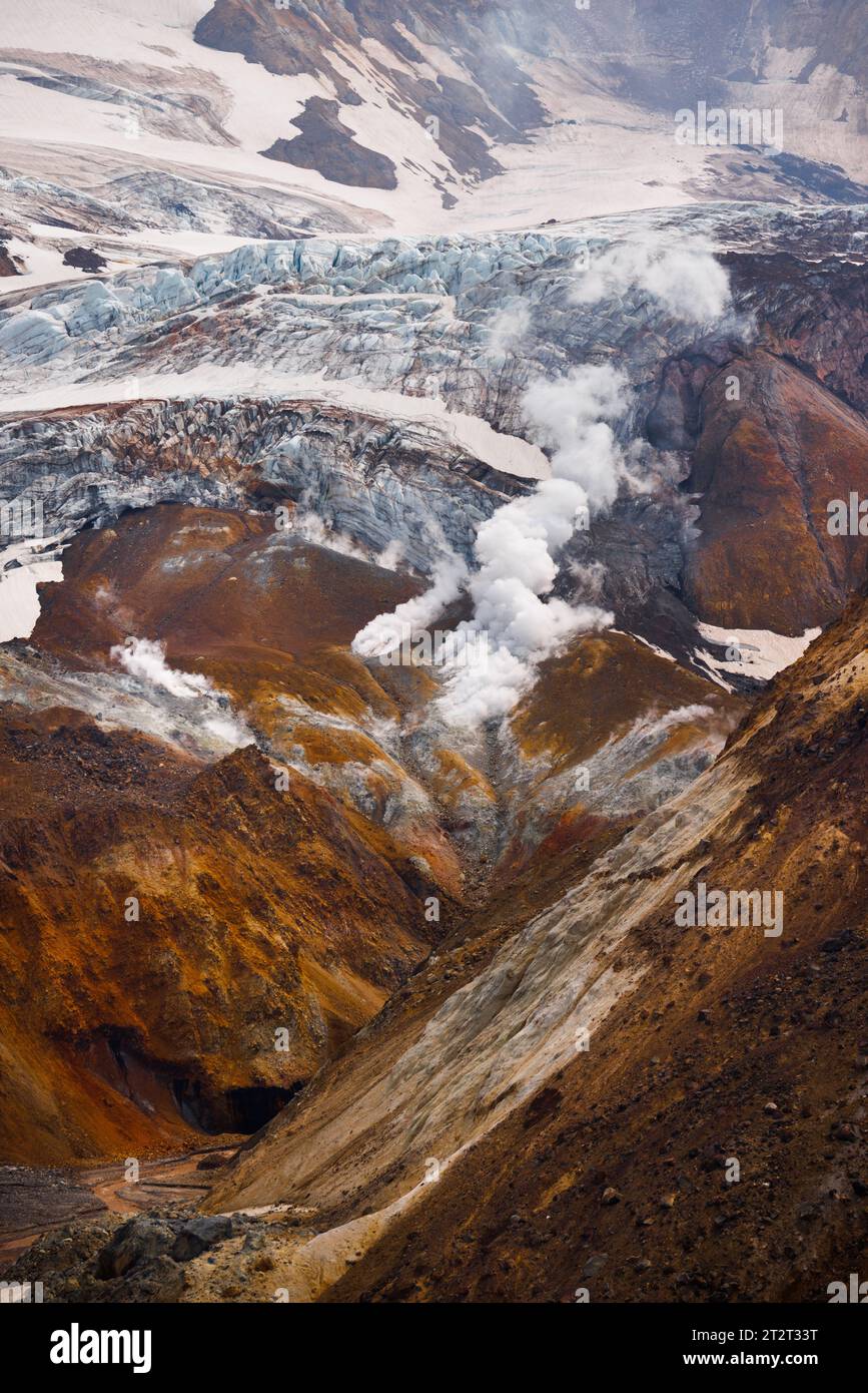 The crater of Mutnovsky volcano. Fumaroles. The active volcano ...