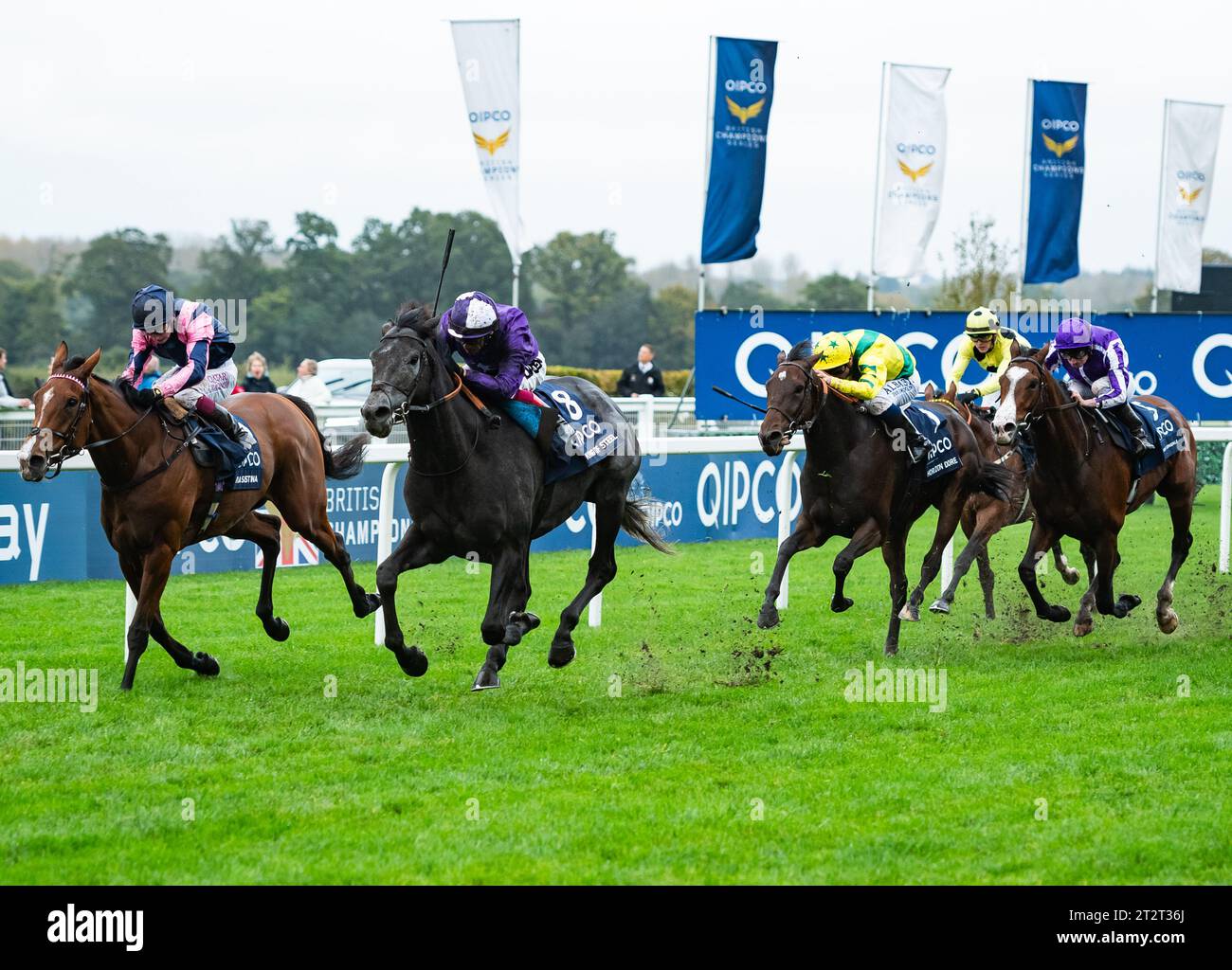 Ascot, Berkshire, United Kingdom. Saturday 21st October 2023. King Of ...