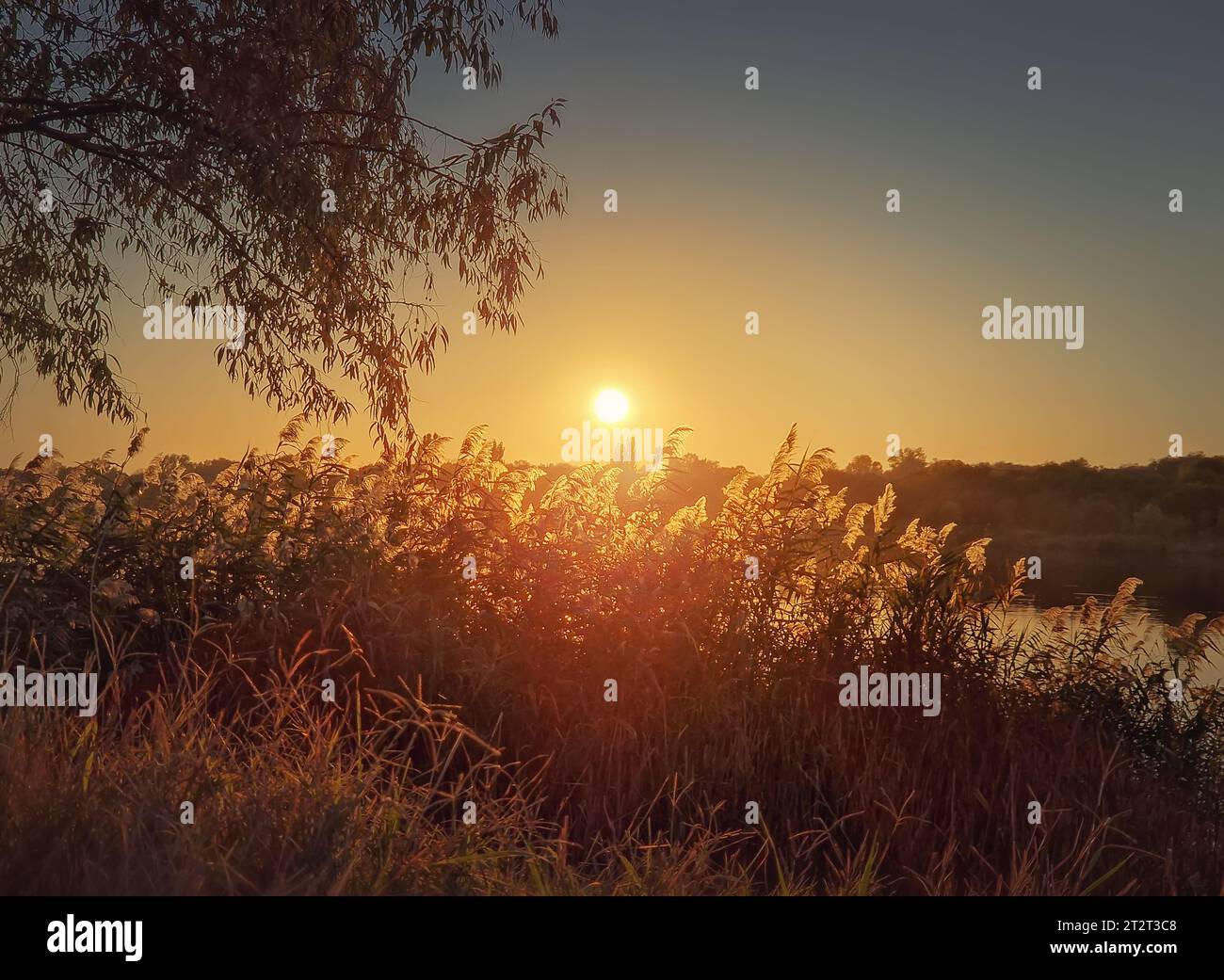 Evening silence at the lake with a view to the sundown over the fluffy ...