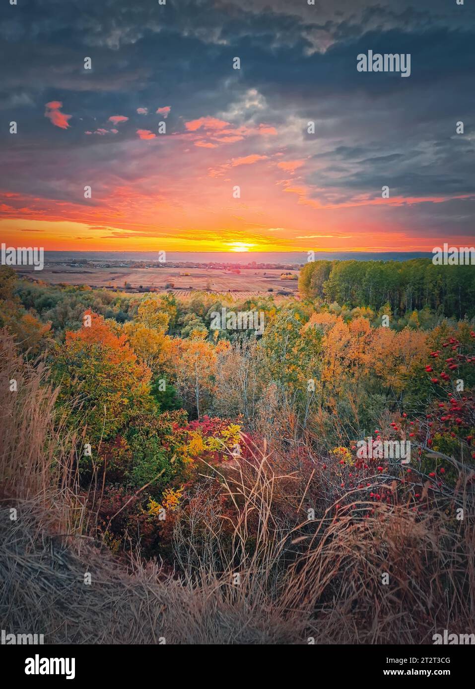 Silent autumn evening over the valley. Multicolored fall forest and ...