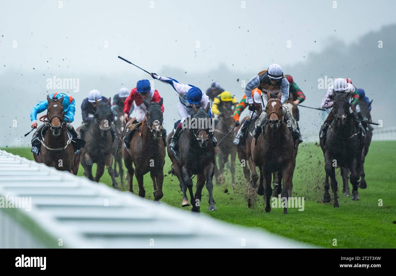 Champions day ascot 2023 hi-res stock photography and images - Alamy