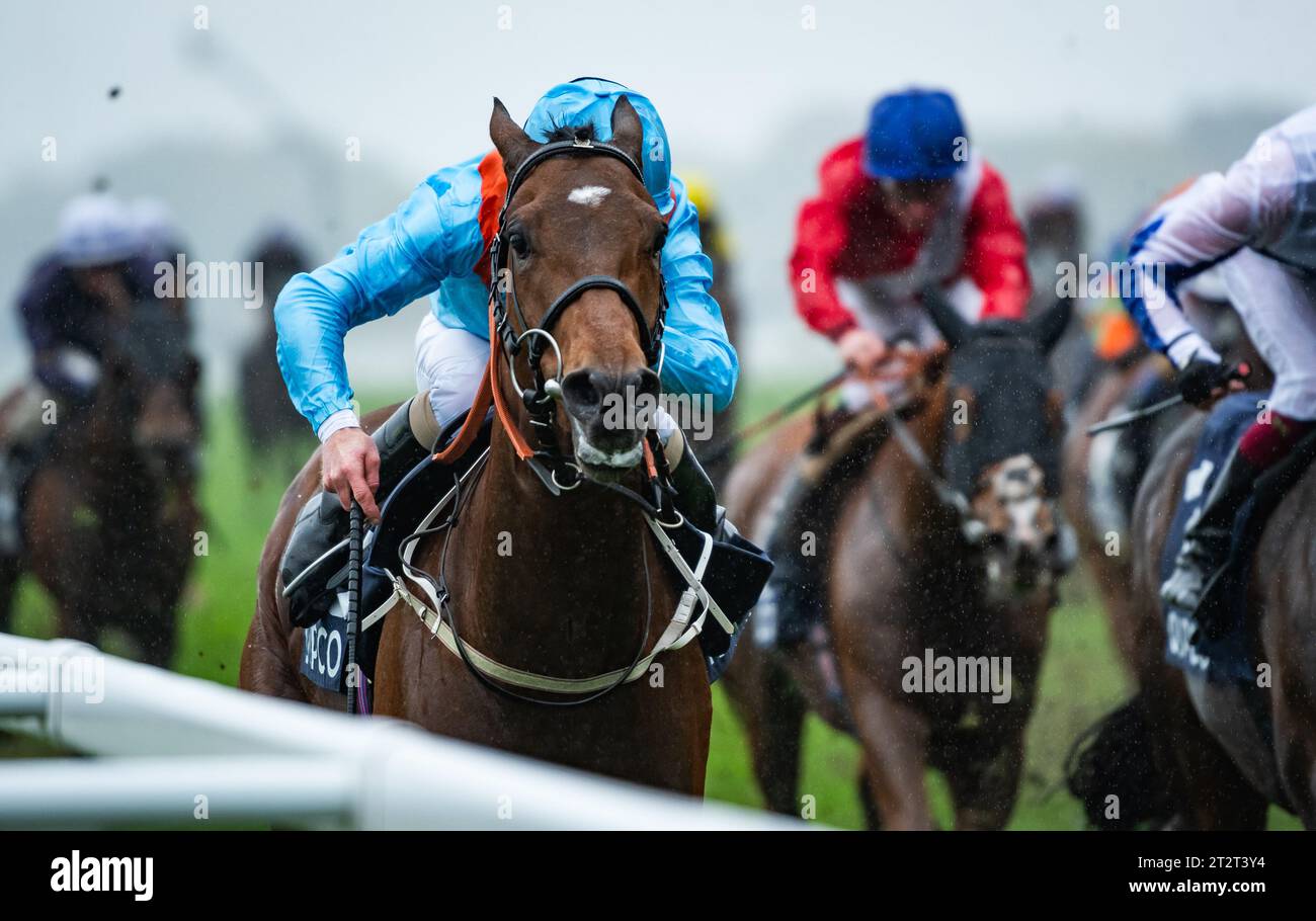 Ascot, Berkshire, United Kingdom. Saturday 21st October 2023. The ...