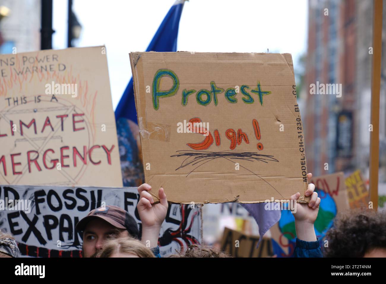 generic protest sign by a kid saying "Protest Sign" at climate rally ...
