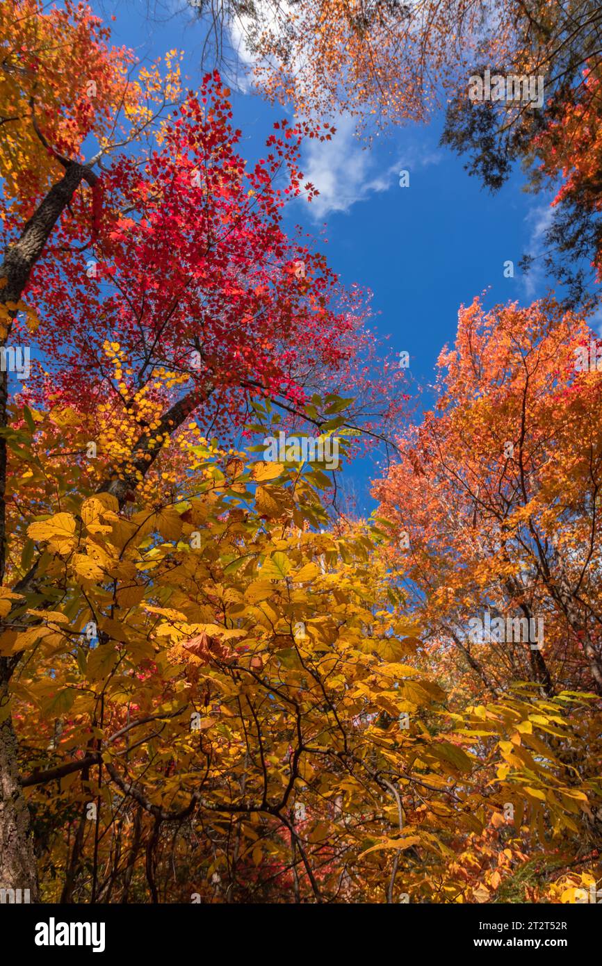 Minnewaska State Park Preserve in Kerhonkson NY with brilliant fall ...