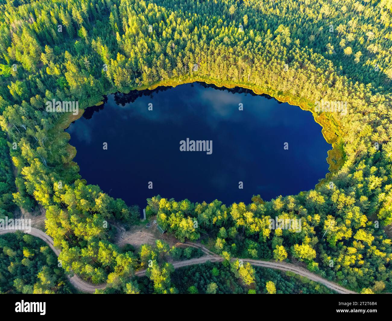 Aerial view of a lake in the forests of Lithuania, wild nature. The ...