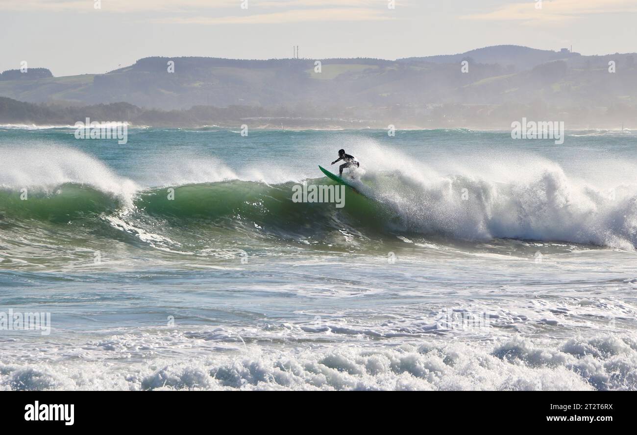 A surfer on a sunny October morning with 10 foot waves Sardinero ...