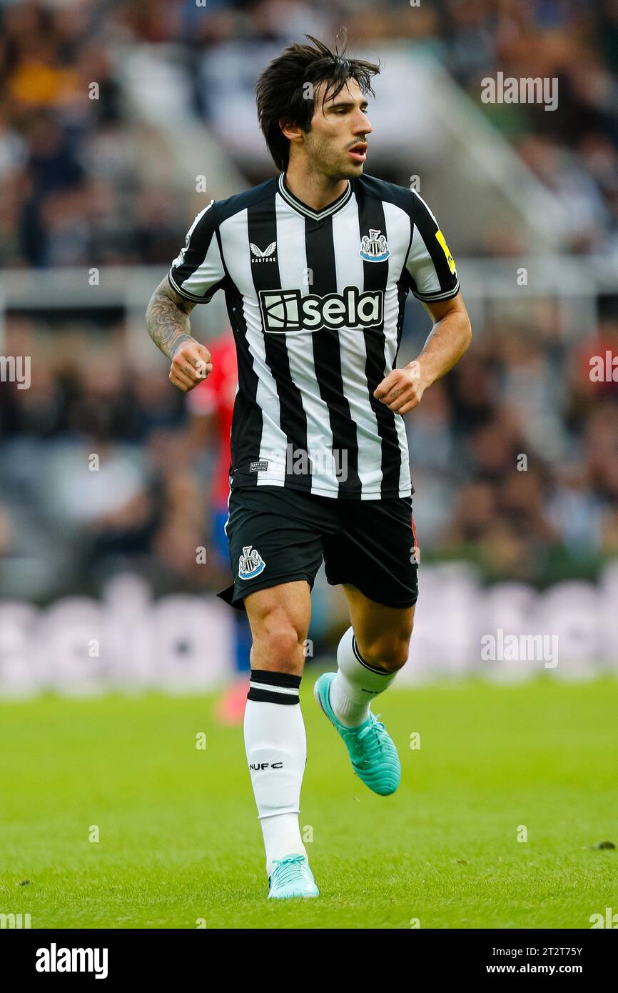 Newcastle, UK. 21st October 2023; St James' Park, Newcastle, England ...