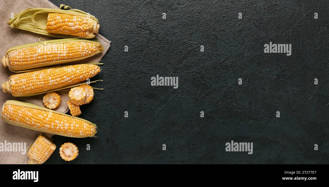 Fresh corn cobs on dark background with space for text, top view Stock ...