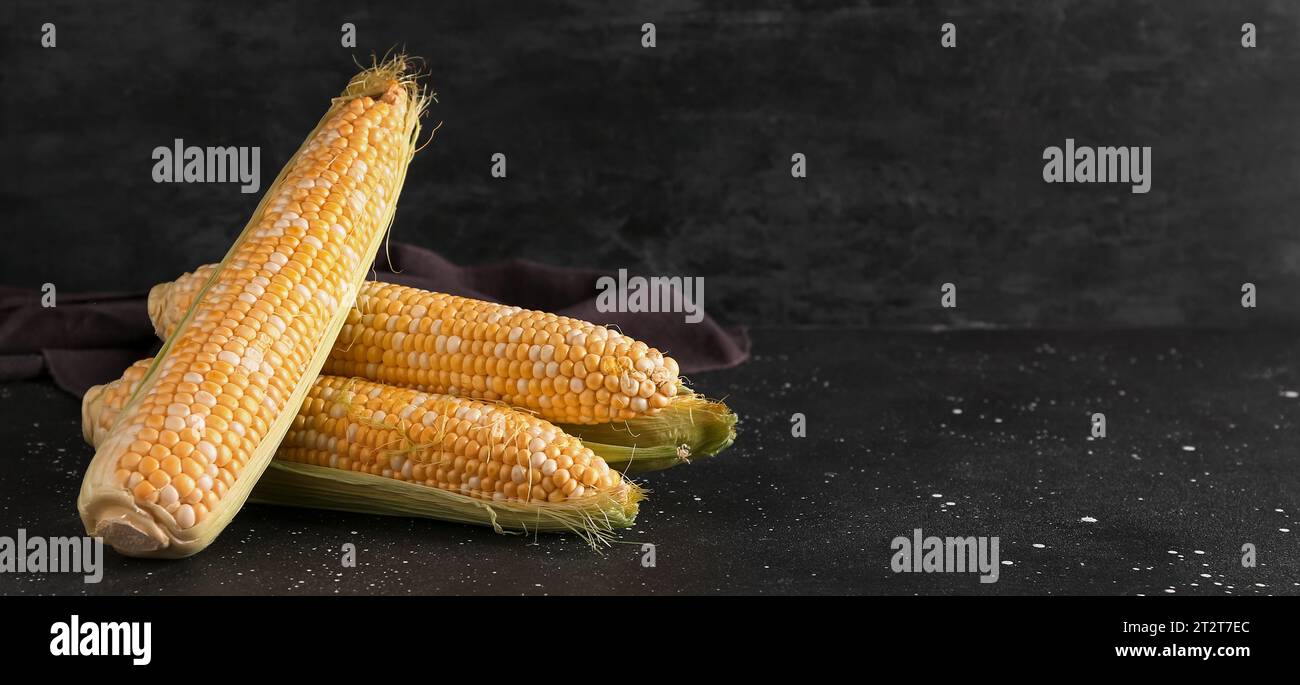 Fresh corn cobs on dark background with space for text Stock Photo - Alamy