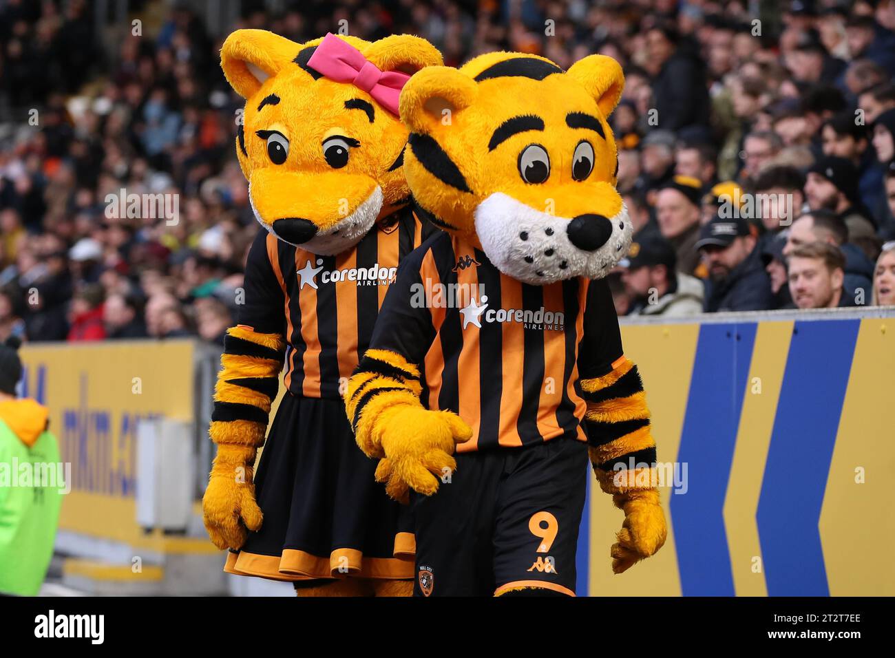 Hull City mascots Amber and Roary during the Sky Bet Championship match ...