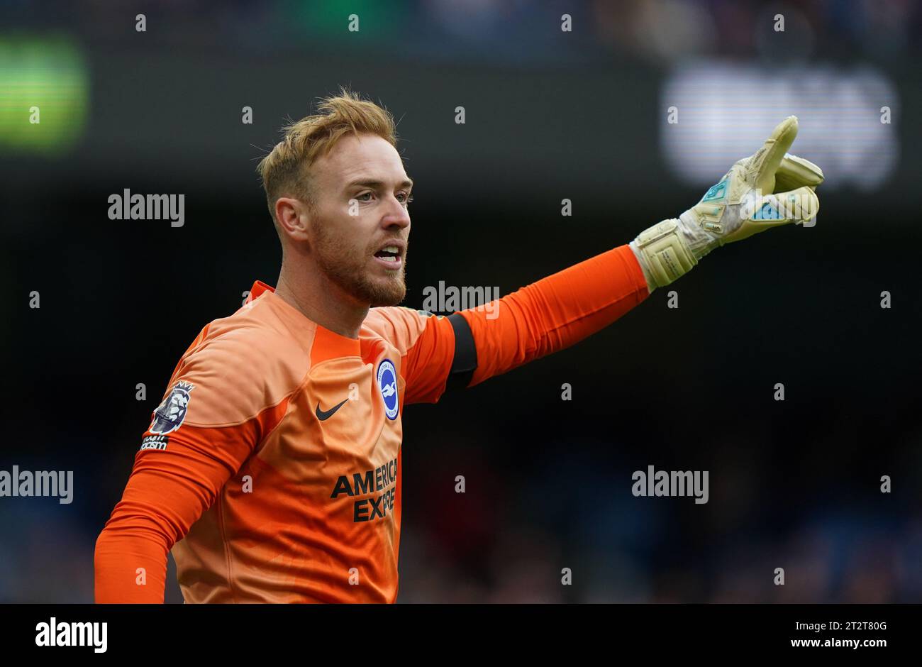 Brighton and Hove Albion goalkeeper Jason Steele during the Premier ...