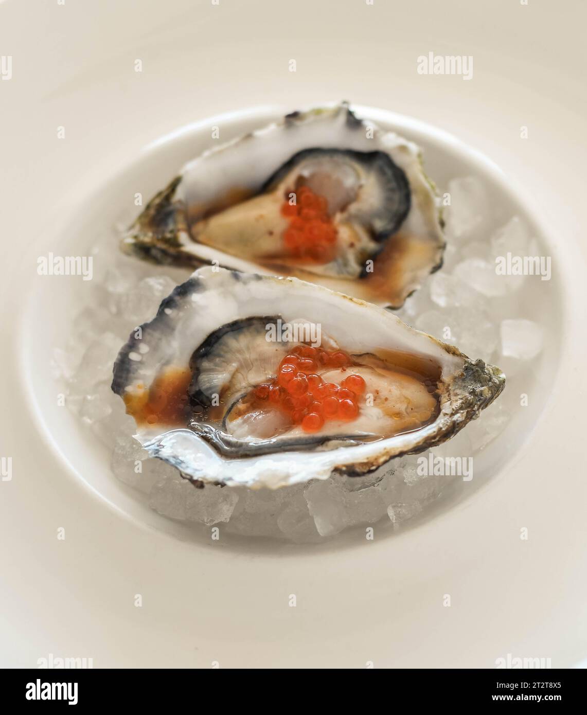 Gourmet portion of two oysters from the European Mediterranean Stock ...