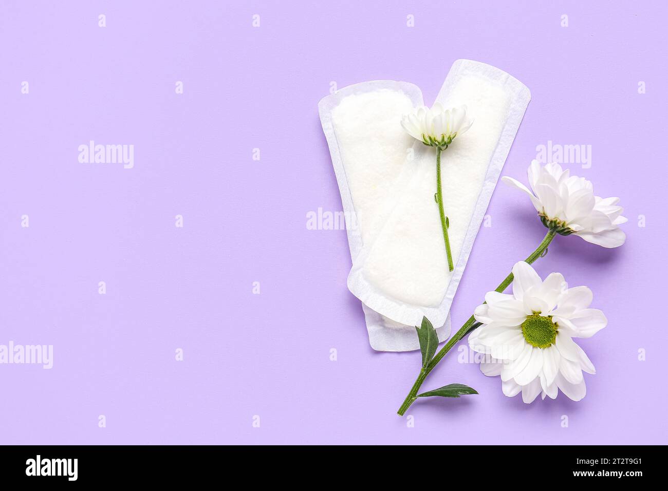 Menstrual pads and chamomile flowers on lilac background Stock Photo ...
