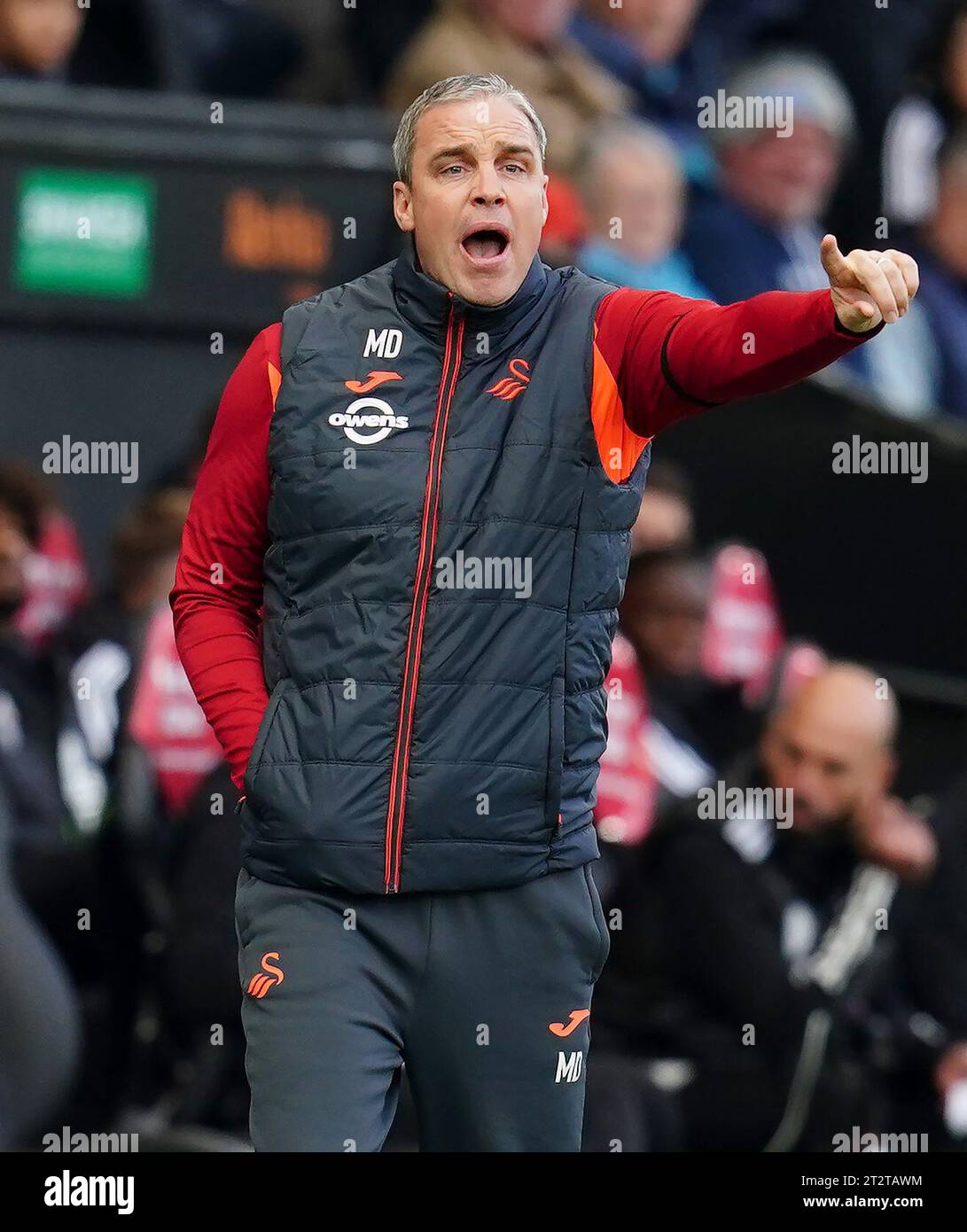 Swansea City manager Michael Duff during the Sky Bet Championship match ...