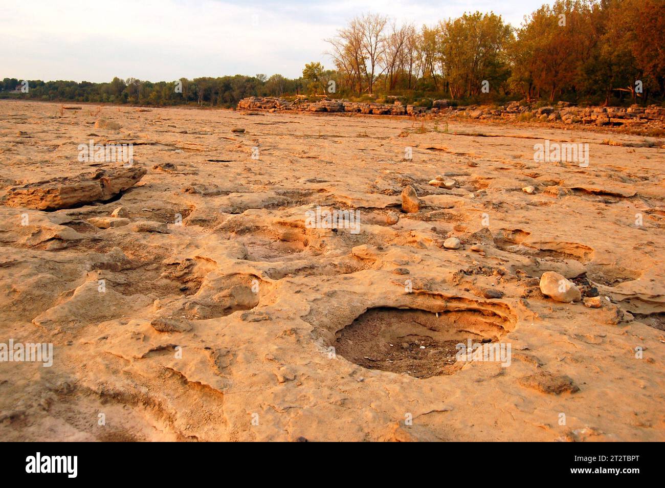 Ancient coral at the Falls of the Ohio State Park in Indiana shows ...