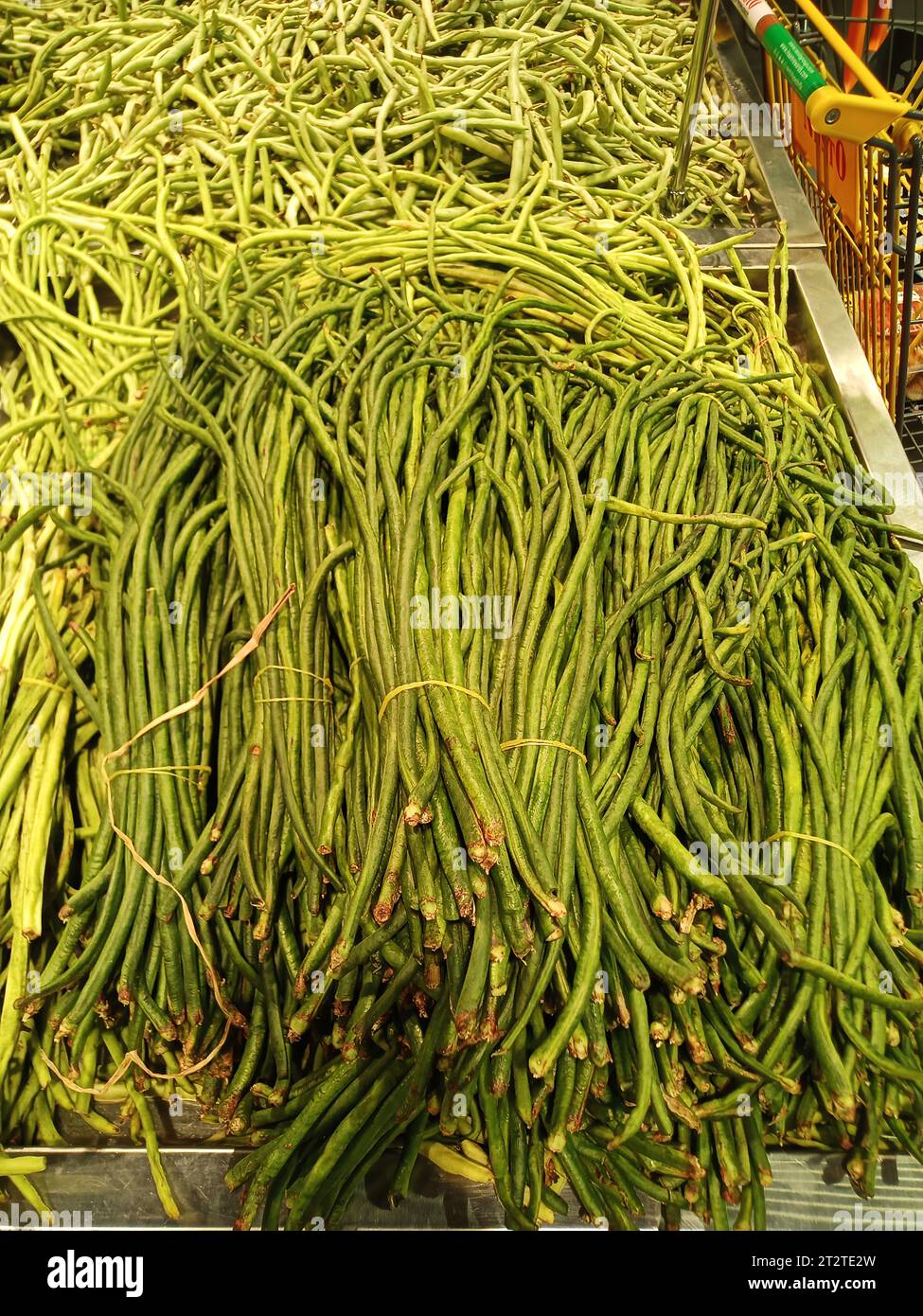 indian long beans for selling in super market,indian agriculture,long ...
