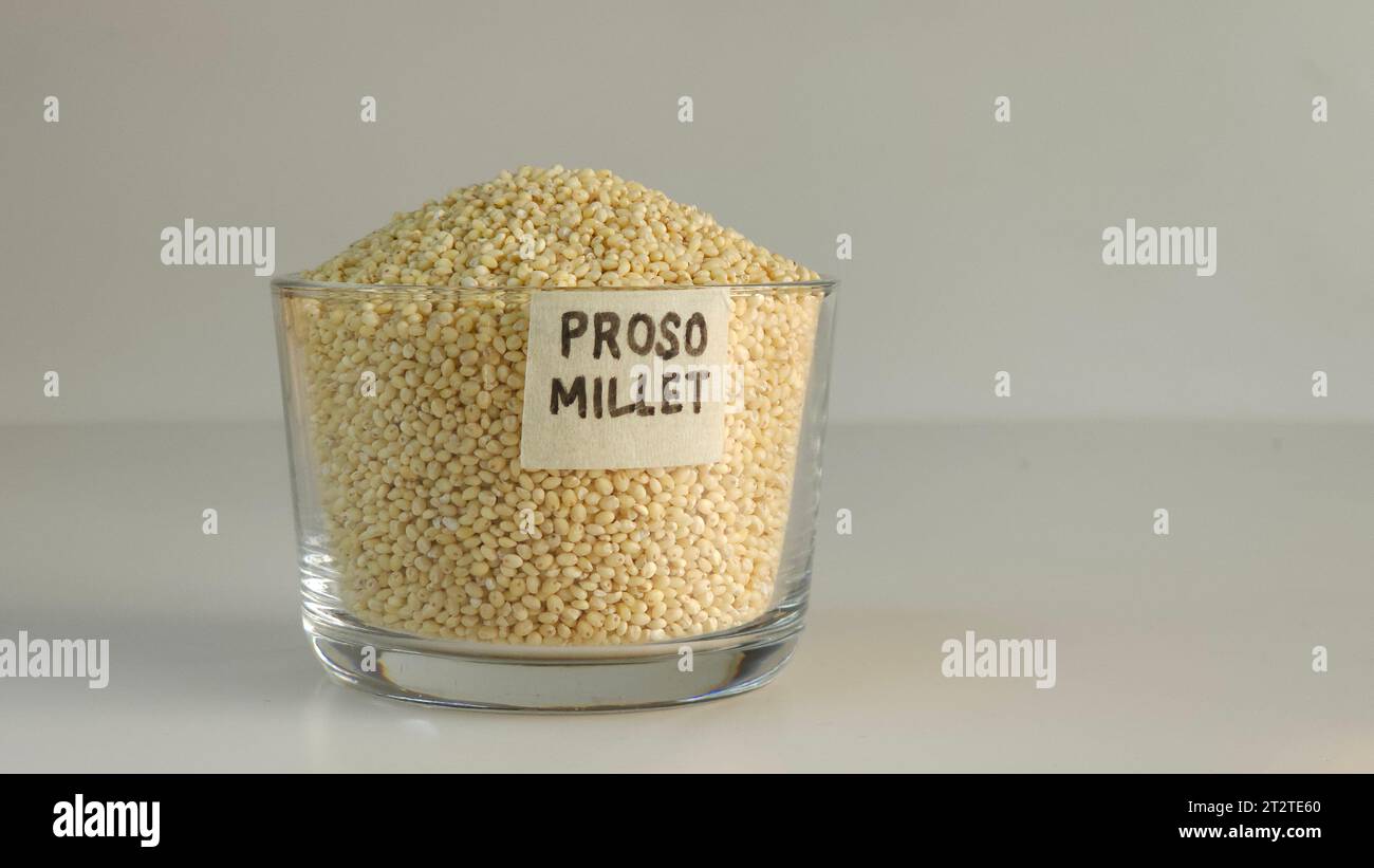Proso millet, tiny round seeds with a golden hue kept in a glass bowl ...