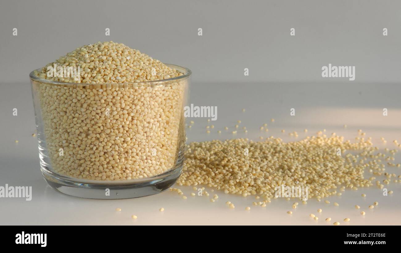 Proso millet, tiny round seeds with a golden hue kept in a glass bowl ...