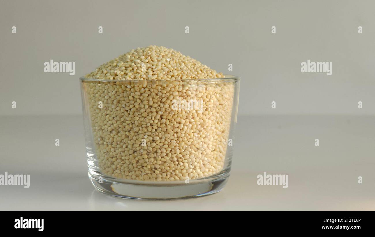 Proso millet, tiny round seeds with a golden hue kept in a glass bowl ...