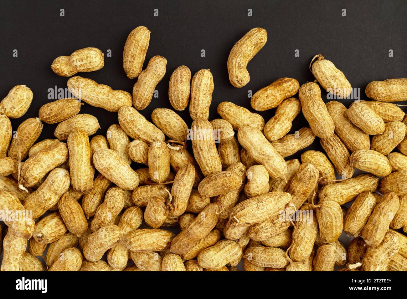 Roasted peanuts, peanuts in shell Isolated on black background Stock ...