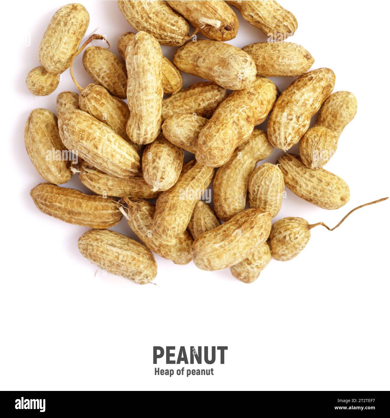 Roasted peanuts, peanuts in shell Isolated on white background Stock ...