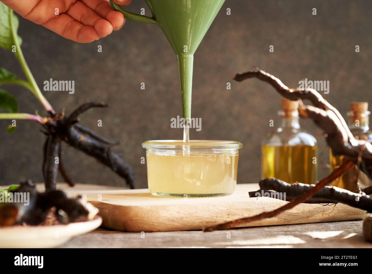 Preparation of comfrey root ointment - straining the rendered pork lard ...