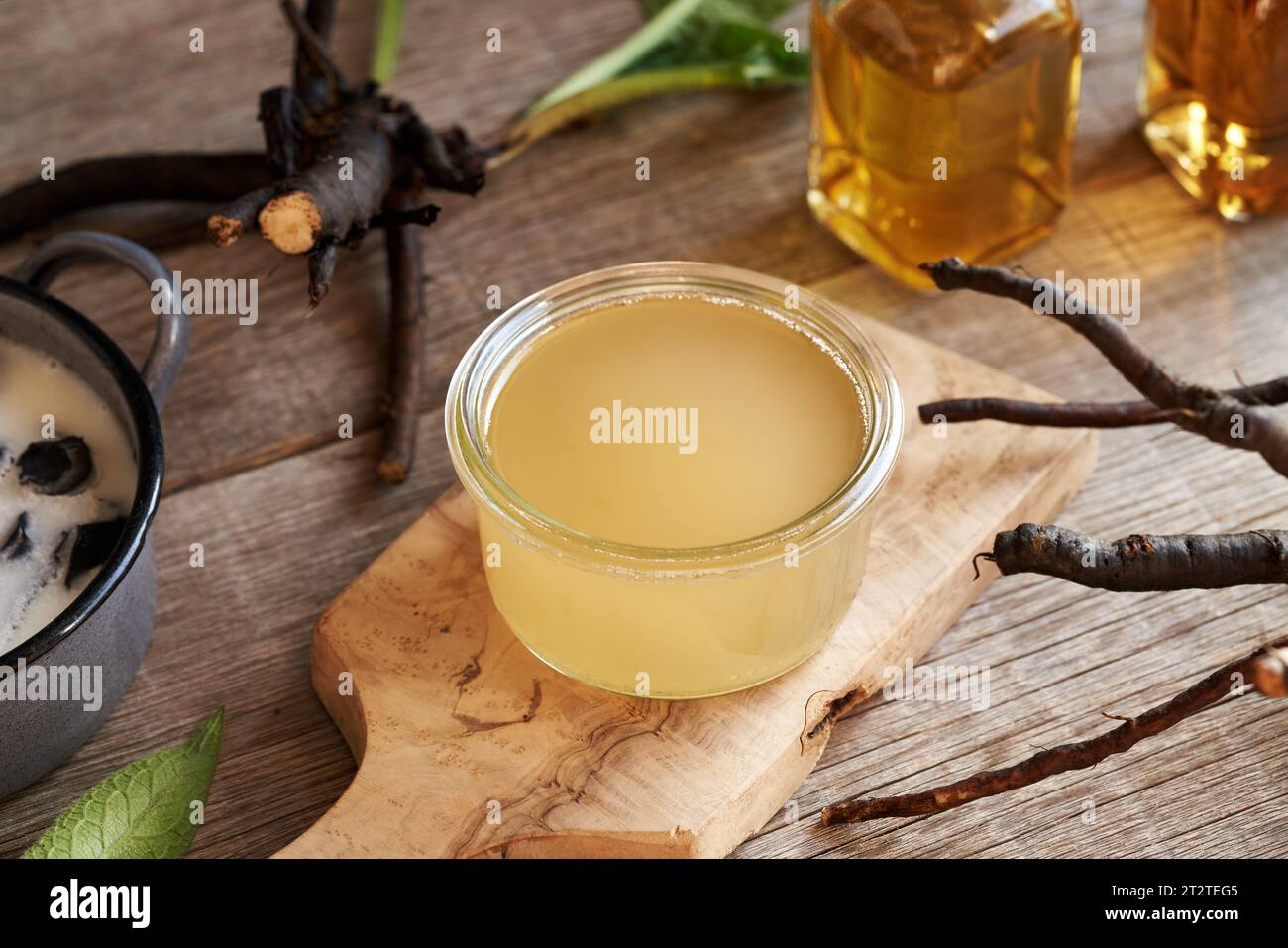 Freshly strained hot comfrey ointment made of fresh knitbone root and ...