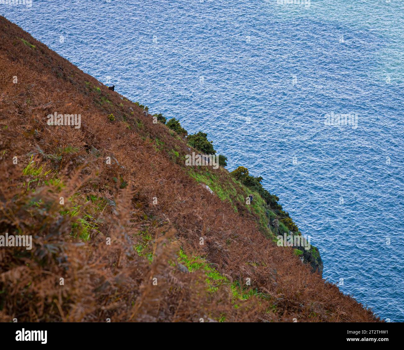 Aerial view of the Exmoor coast in the North Devon district in the ...