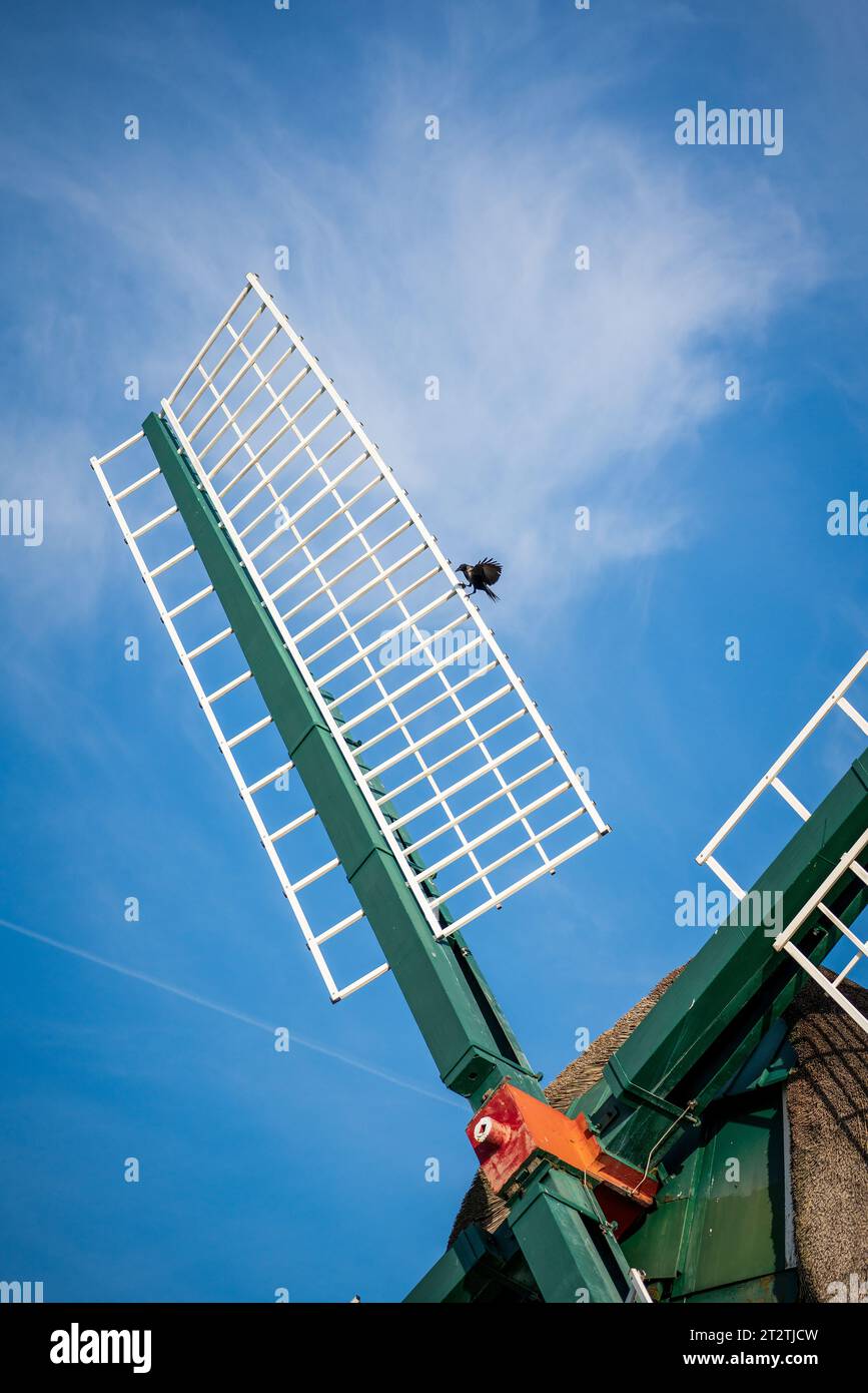 Windmill rod hi-res stock photography and images - Alamy