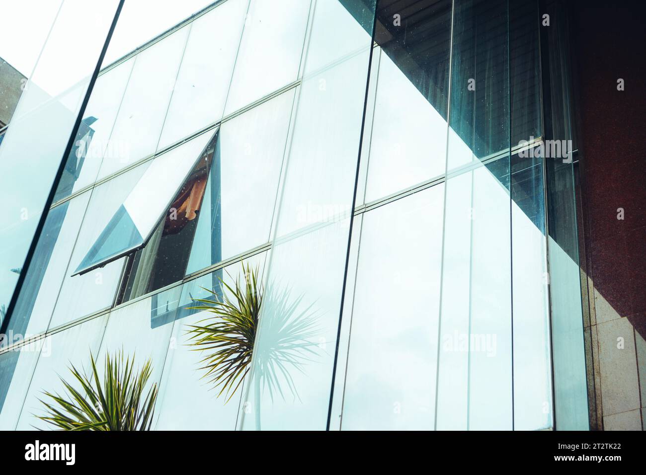 Stunning low-angle shot of an open high-rise building window, framed by ...