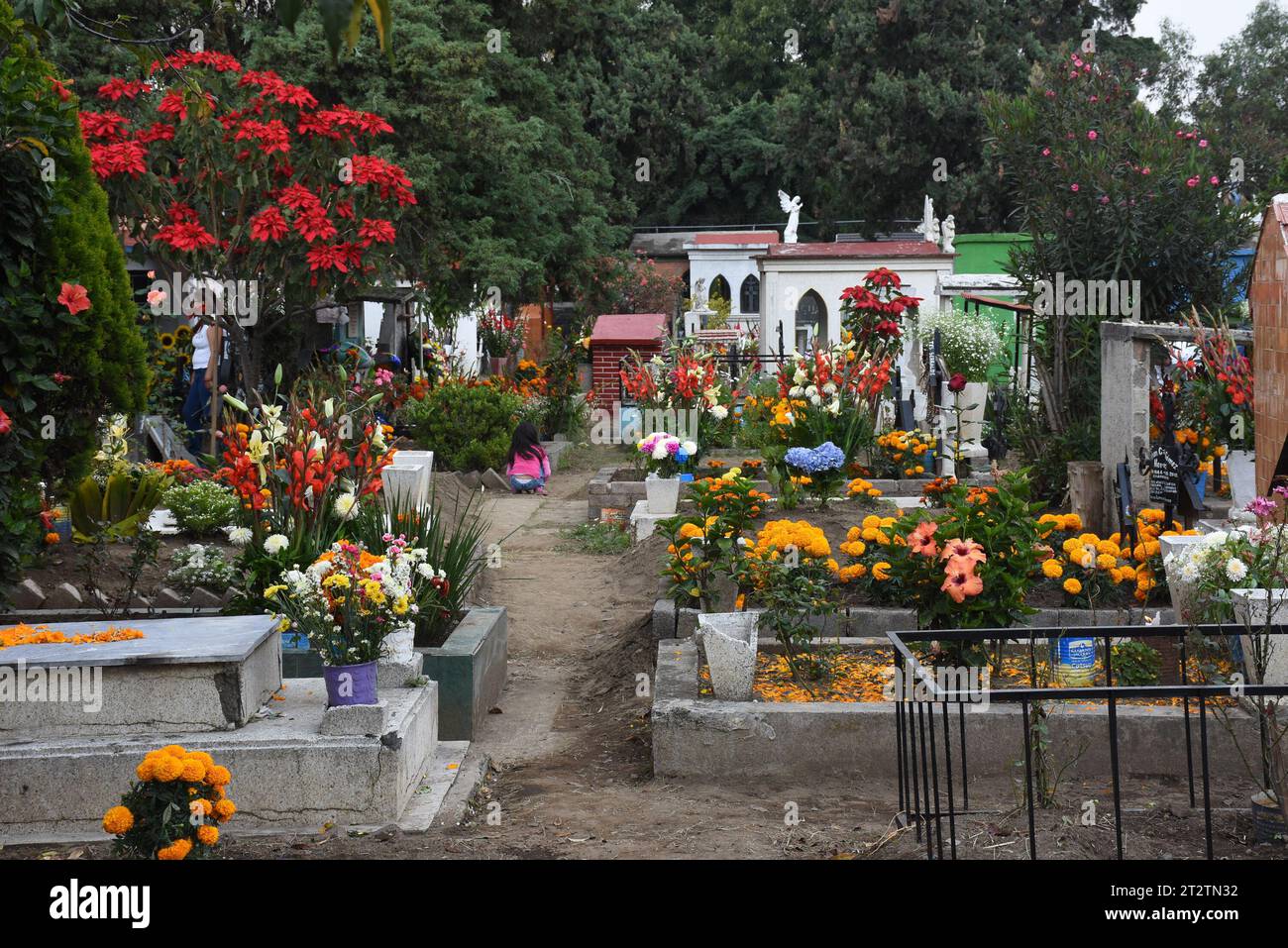 Dia de muertos méxico decorated graves hi-res stock photography and ...
