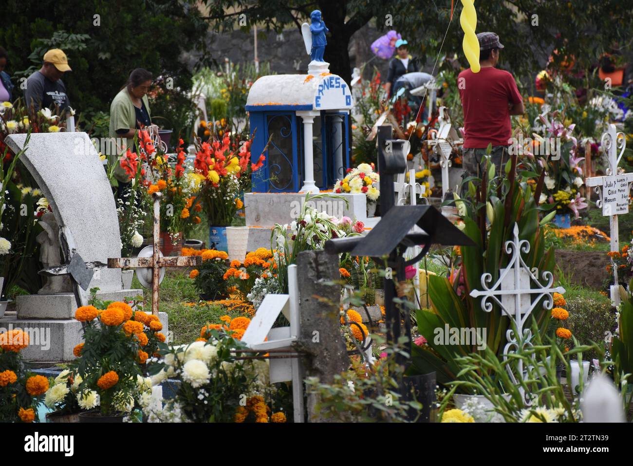 Dia de muertos méxico decorated graves hi-res stock photography and ...