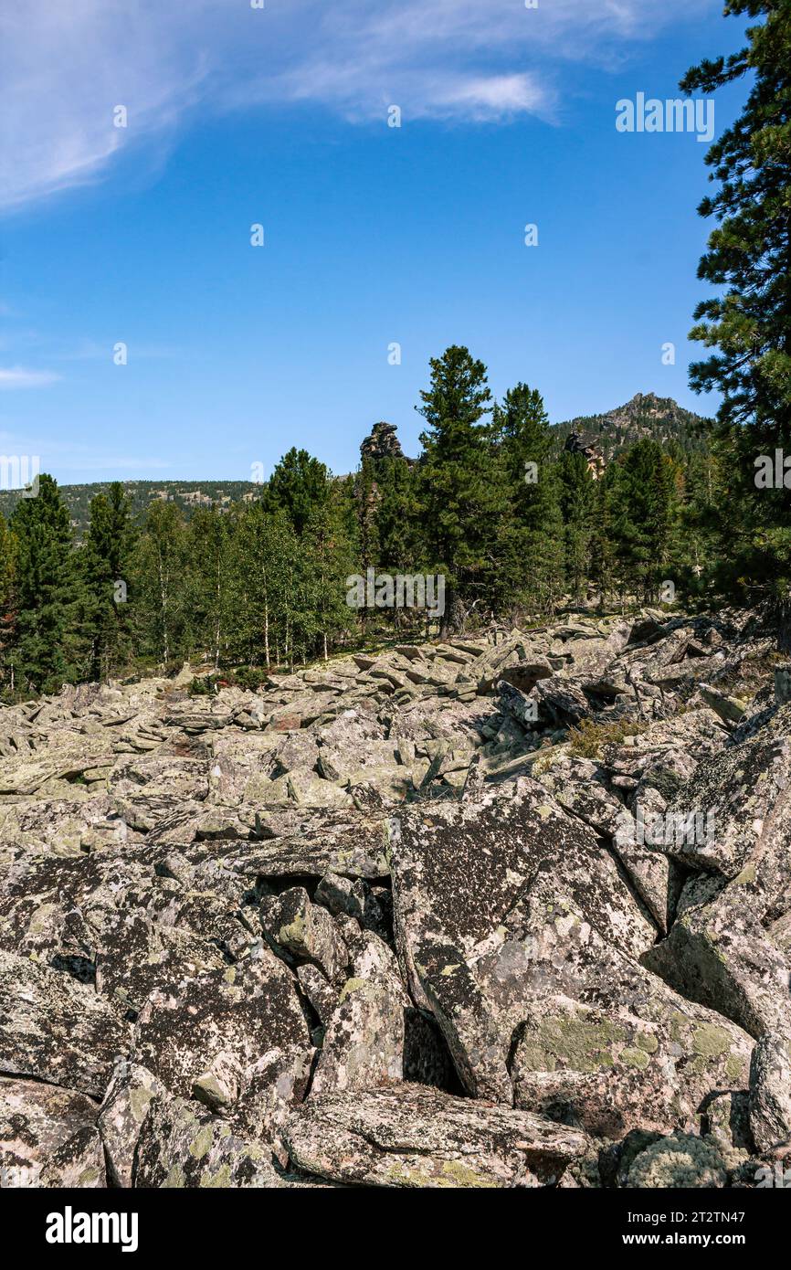 lie of ground: Accumulations of sharp-angled stone blocks, ridge of ...