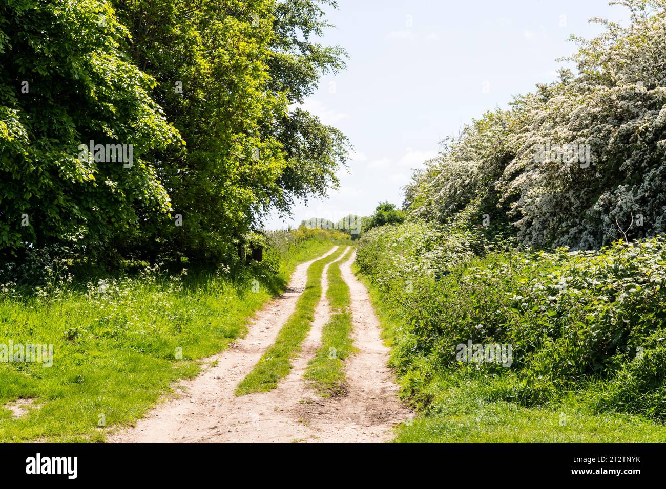 Rural footpath in distance hi-res stock photography and images - Alamy