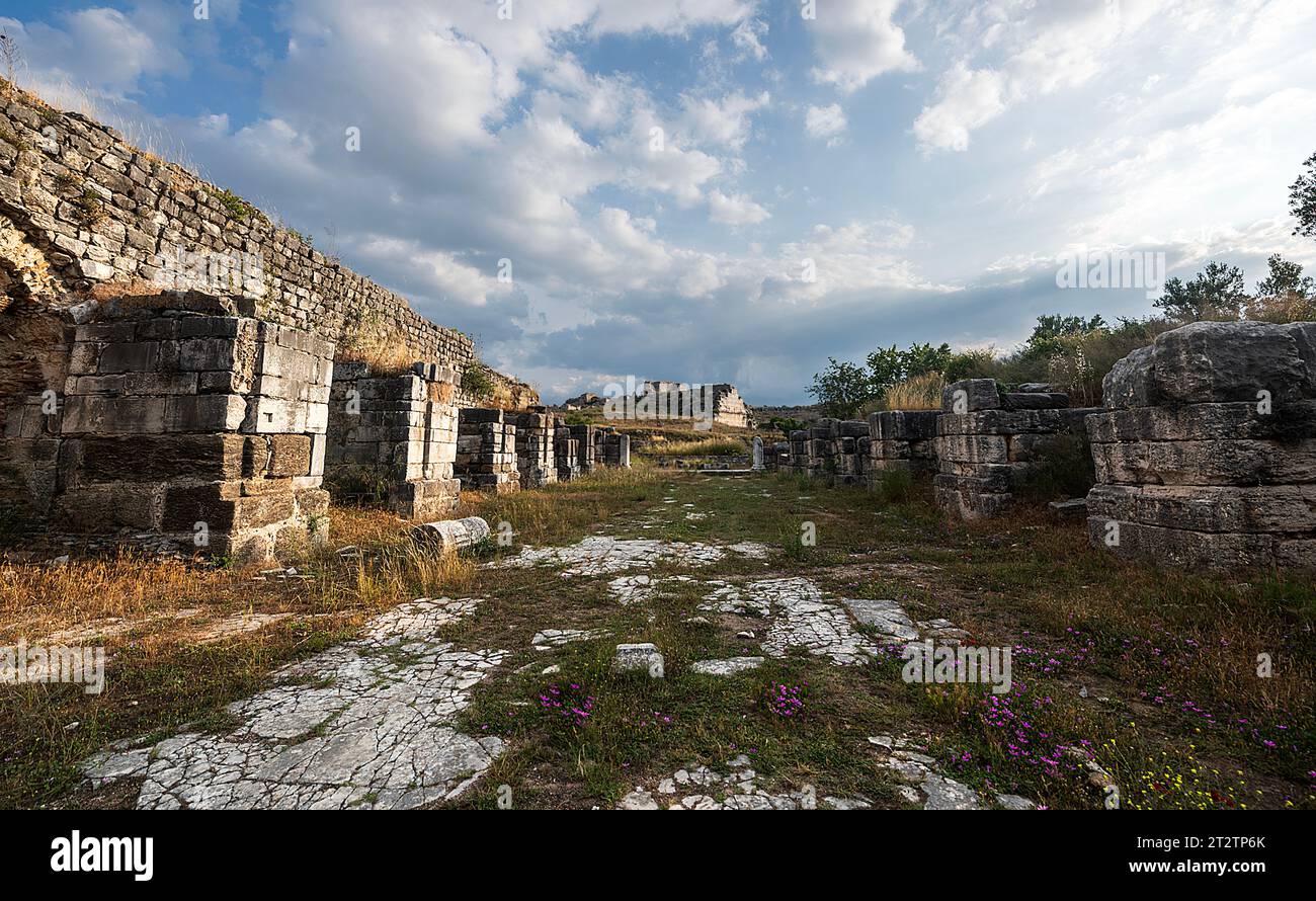 Miletus is an ancient Greek city in Anatolia, whose name was Palaton in ...