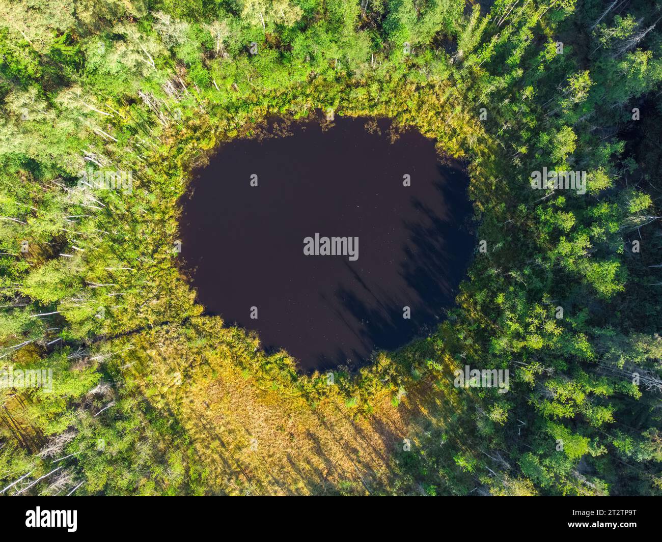 Aerial view of a lake in the forests of Lithuania, wild nature. Varena ...