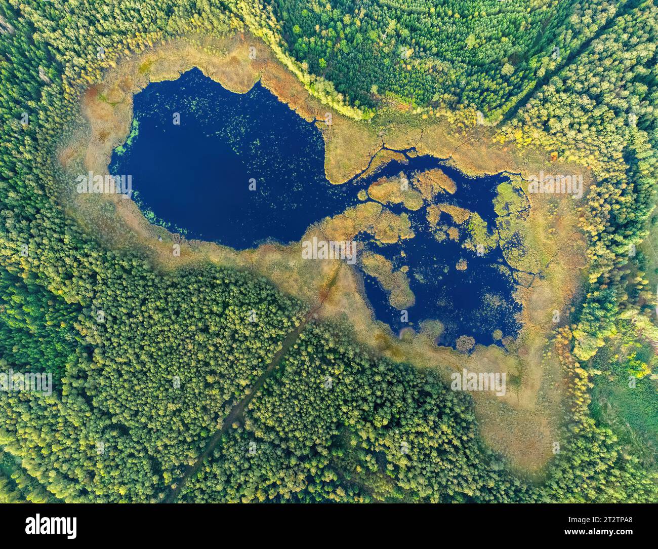 Aerial view of a lake in the forests of Lithuania, wild nature. The ...