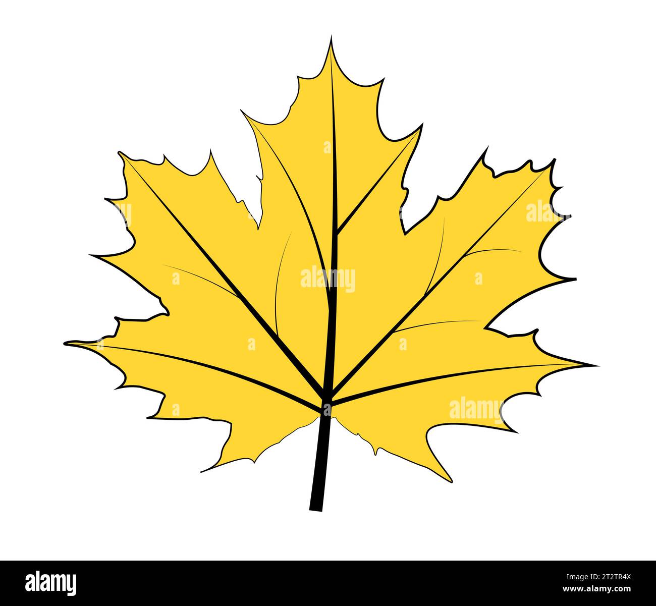 One continuous maple leaf Stock Vector Images - Alamy