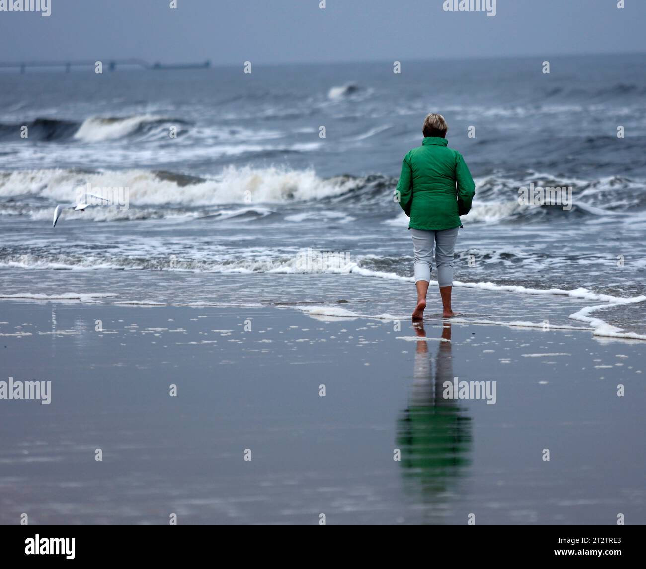 Bärfuss hi-res stock photography and images - Alamy