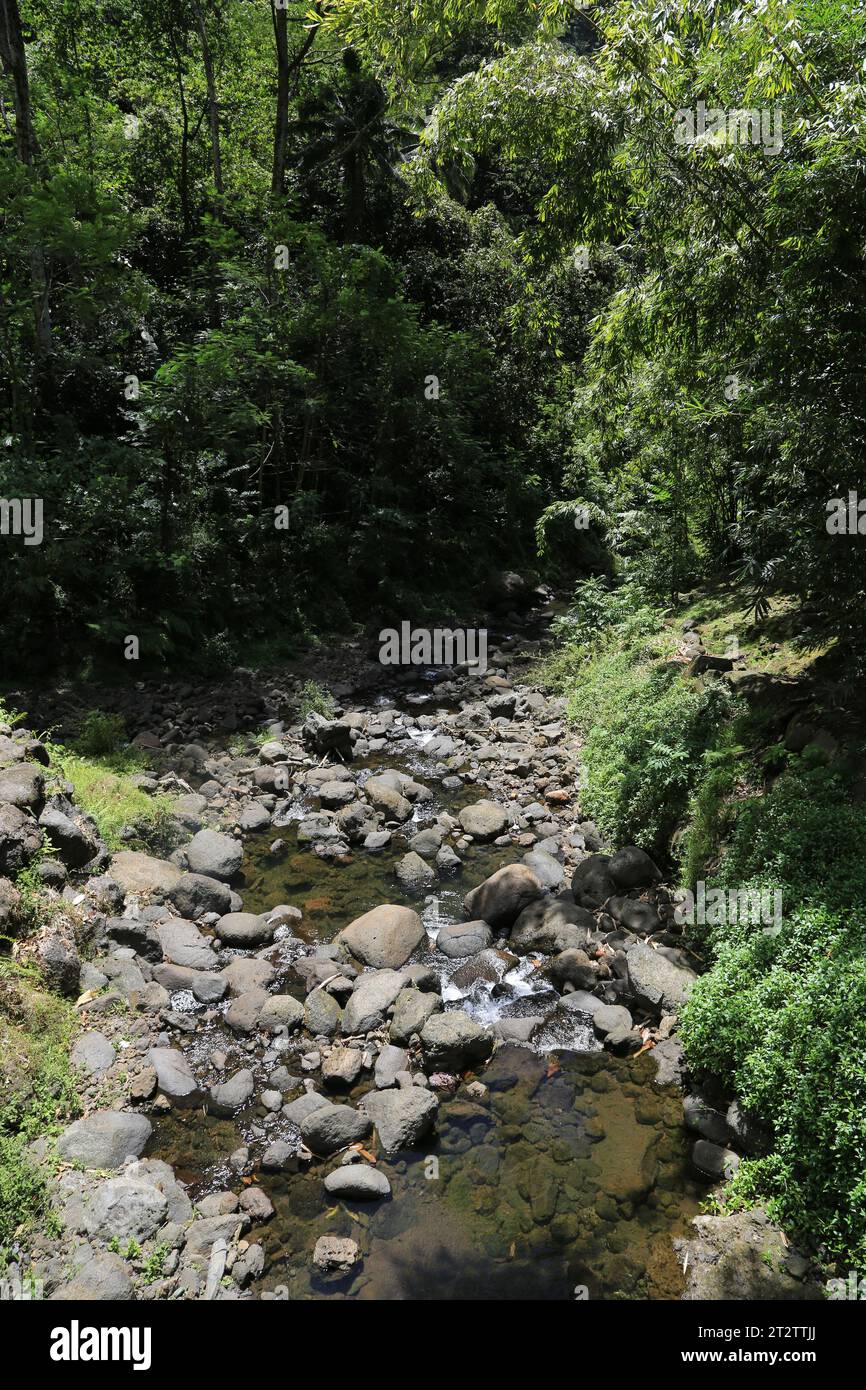 The site of the 3 Cascades of Te Fa’aurumai on the east coast of the ...