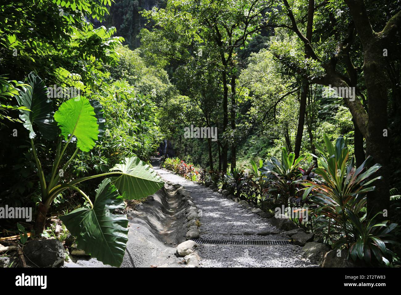 The site of the 3 Cascades of Te Fa’aurumai on the east coast of the ...