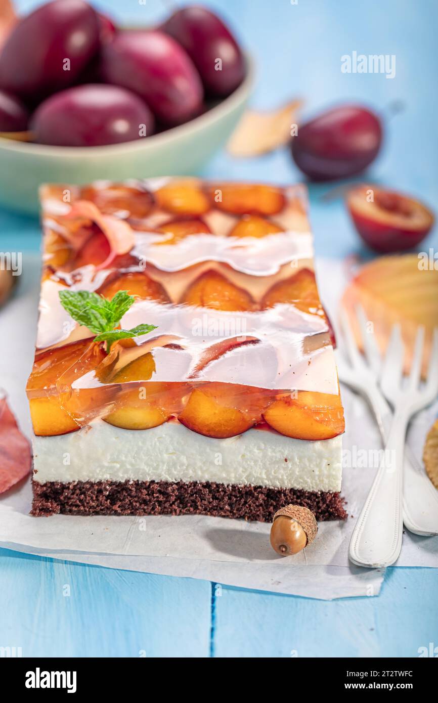 Sweet plum sponge cake with jelly and whipped cream. Sponge cake with ...