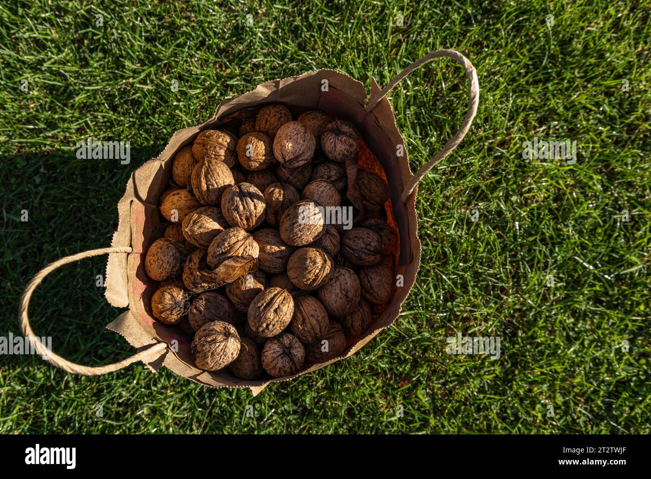 Hand full of nuts hi-res stock photography and images - Alamy