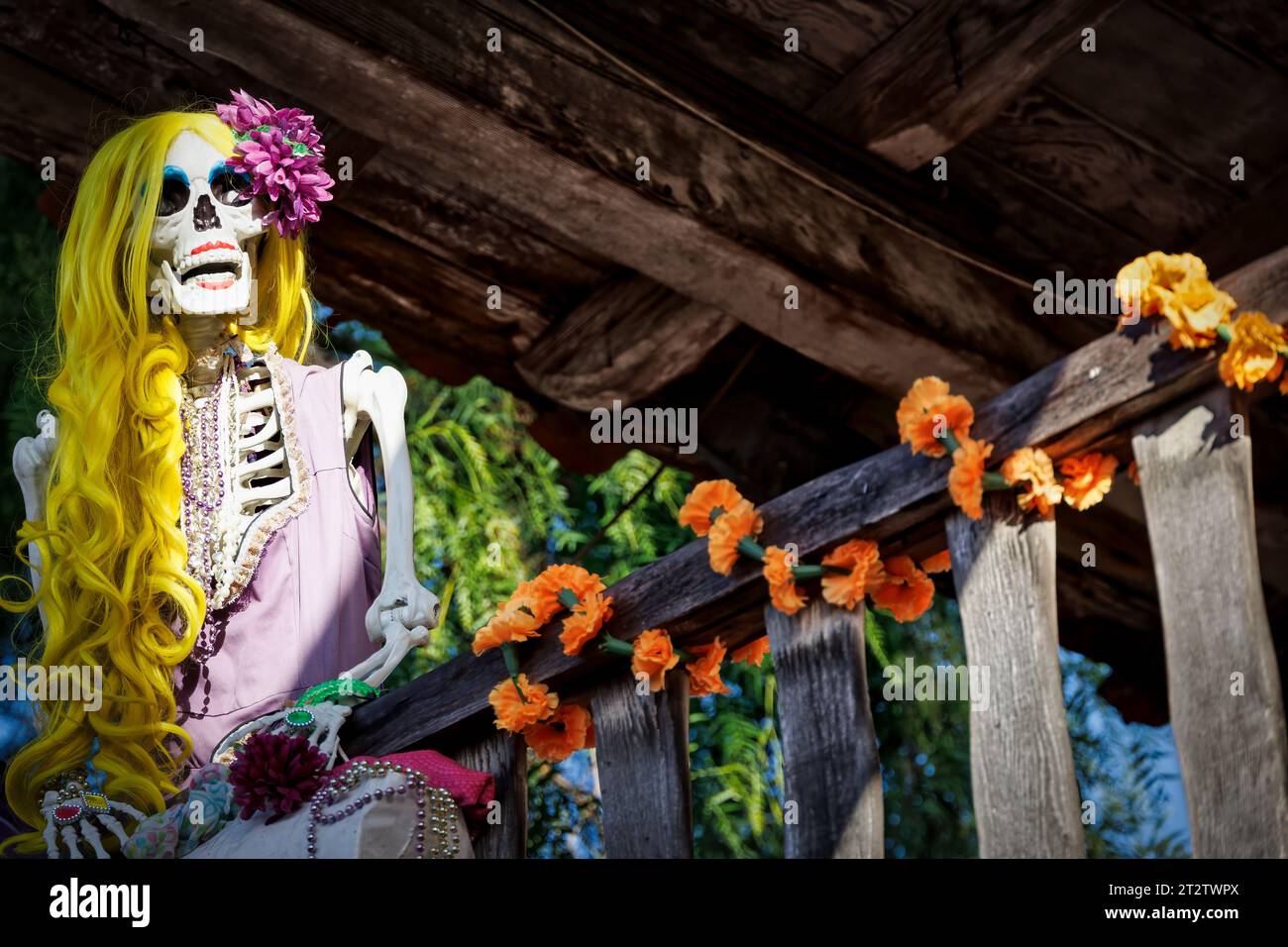 Skeleton balcony hi-res stock photography and images - Alamy