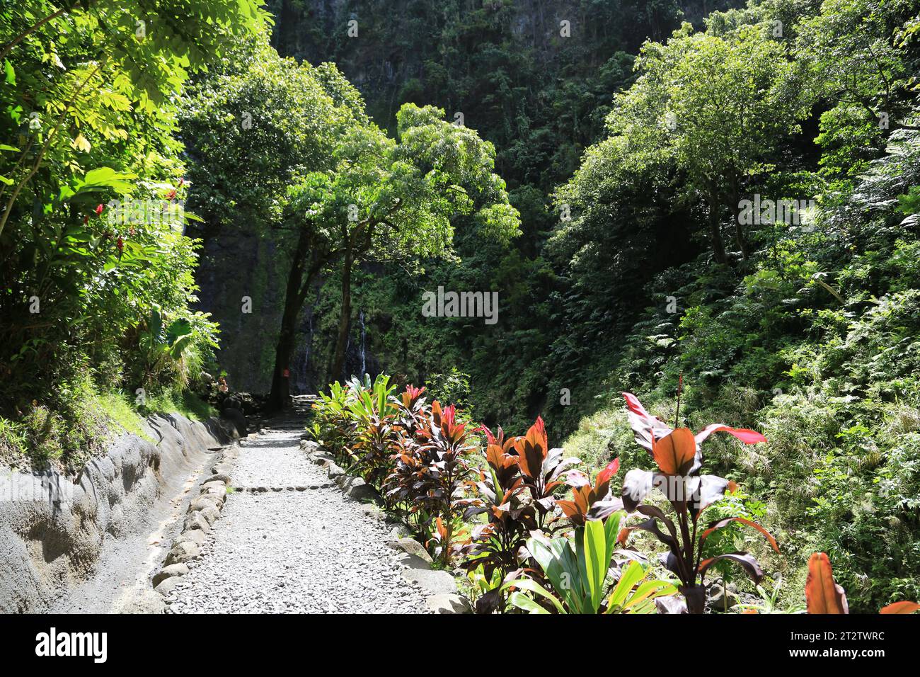 The site of the 3 Cascades of Te Fa’aurumai on the east coast of the ...