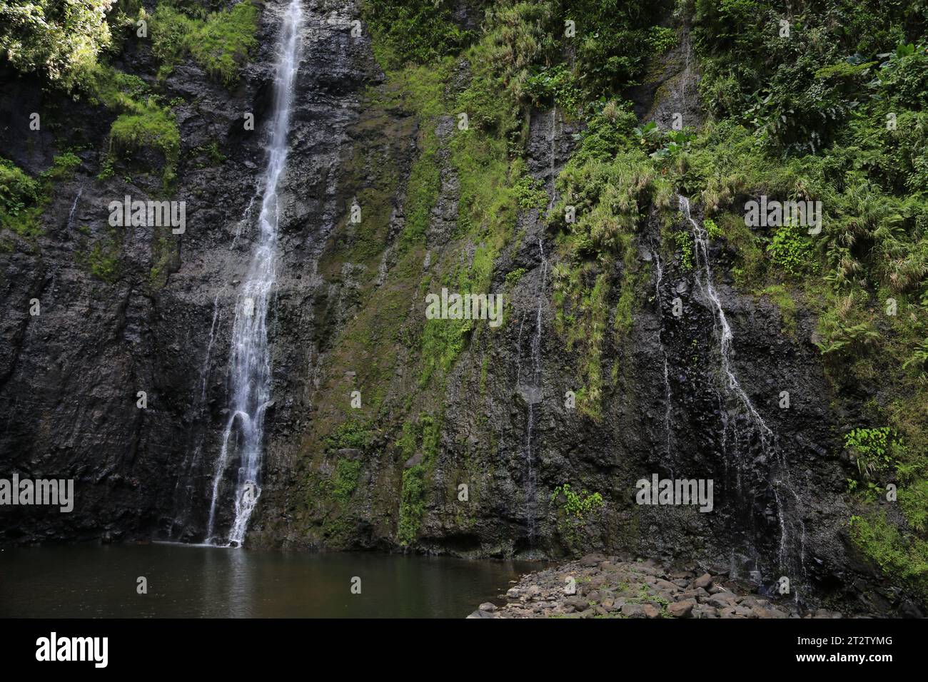 The site of the 3 Cascades of Te Fa’aurumai on the east coast of the ...